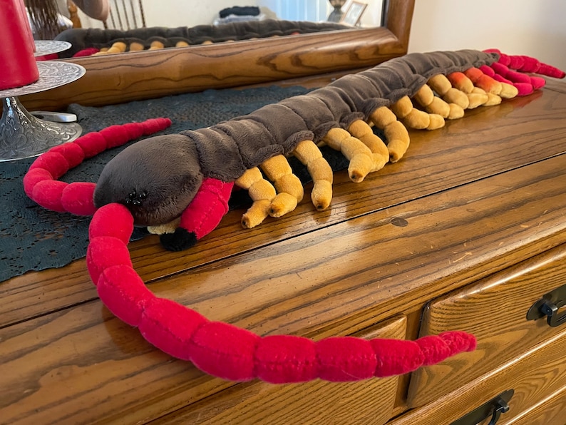 Realistic Centipede Plush Made to Order - Etsy