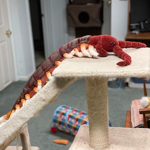 Realistic Centipede Plush Made to Order (fancy Variation) - Etsy