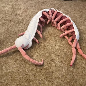 Plush Centipede albino Handmade - Etsy