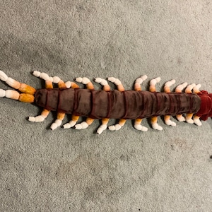 Realistic Centipede Plush Made to Order (fancy Variation) - Etsy