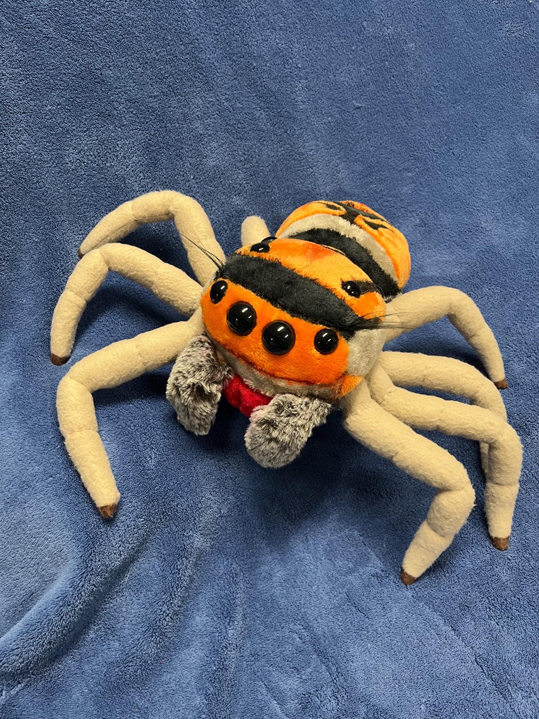 Regal Jumping Spider Plush Handmade - Etsy