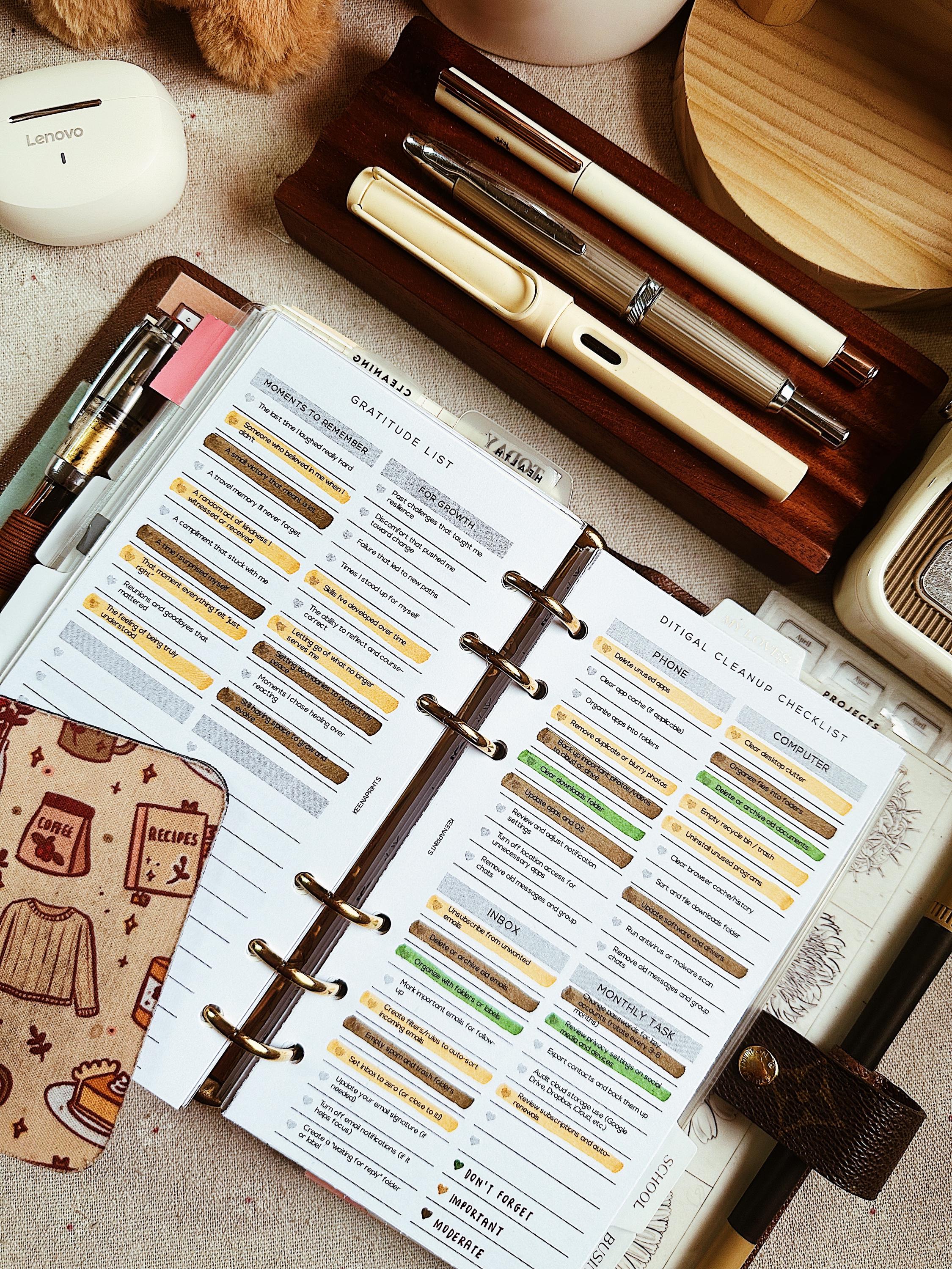 PP179 | Digital Cleanup Checklist for Personal Rings Printable Planner ...