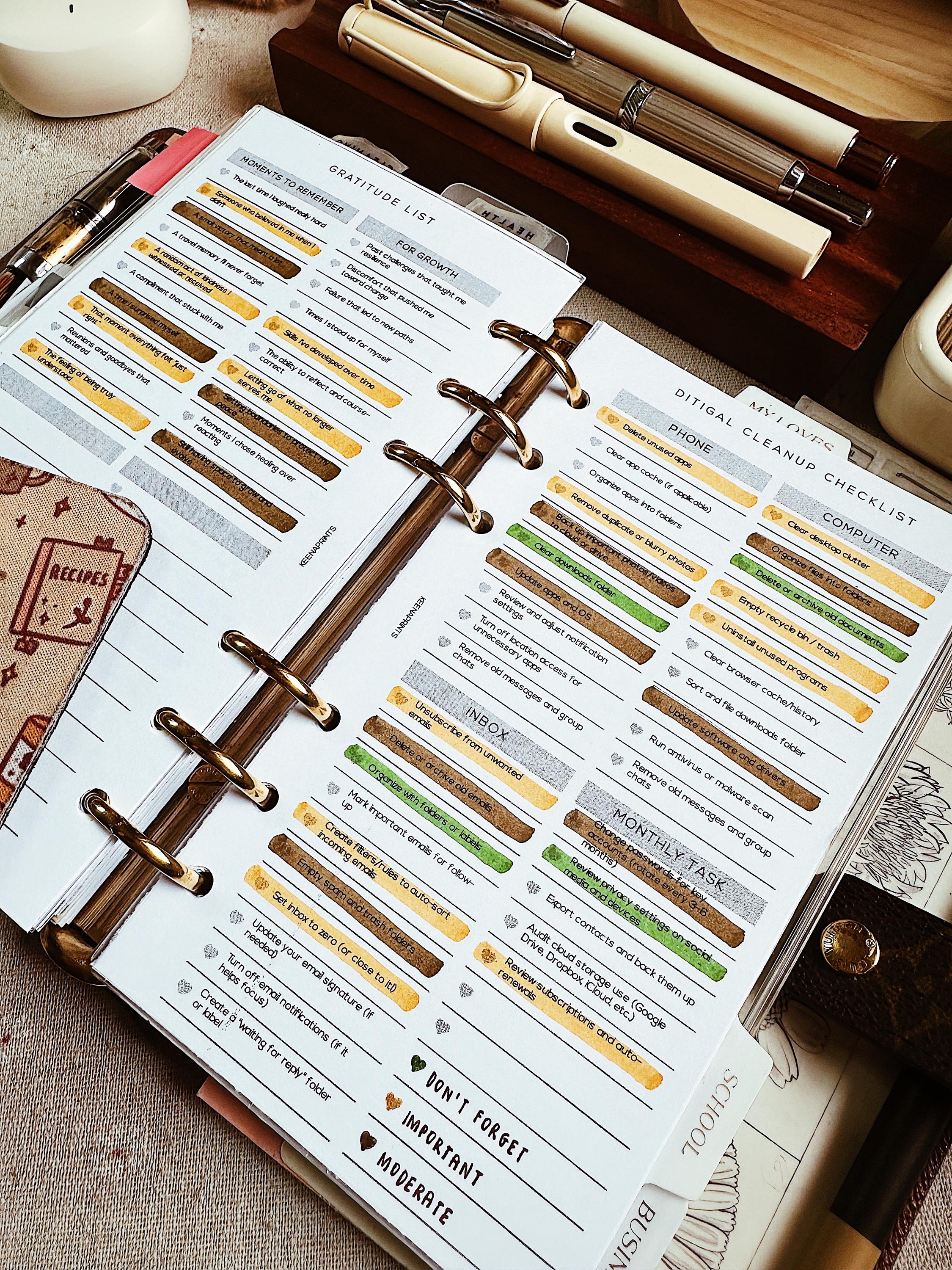PP179 | Digital Cleanup Checklist for Personal Rings Printable Planner ...