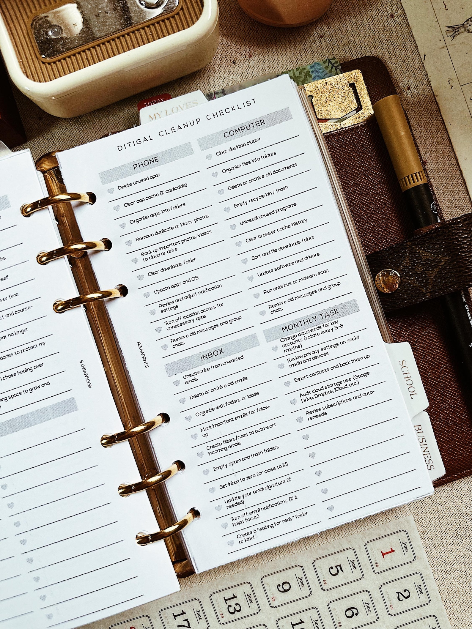 PP179 | Digital Cleanup Checklist for Personal Rings Printable Planner ...