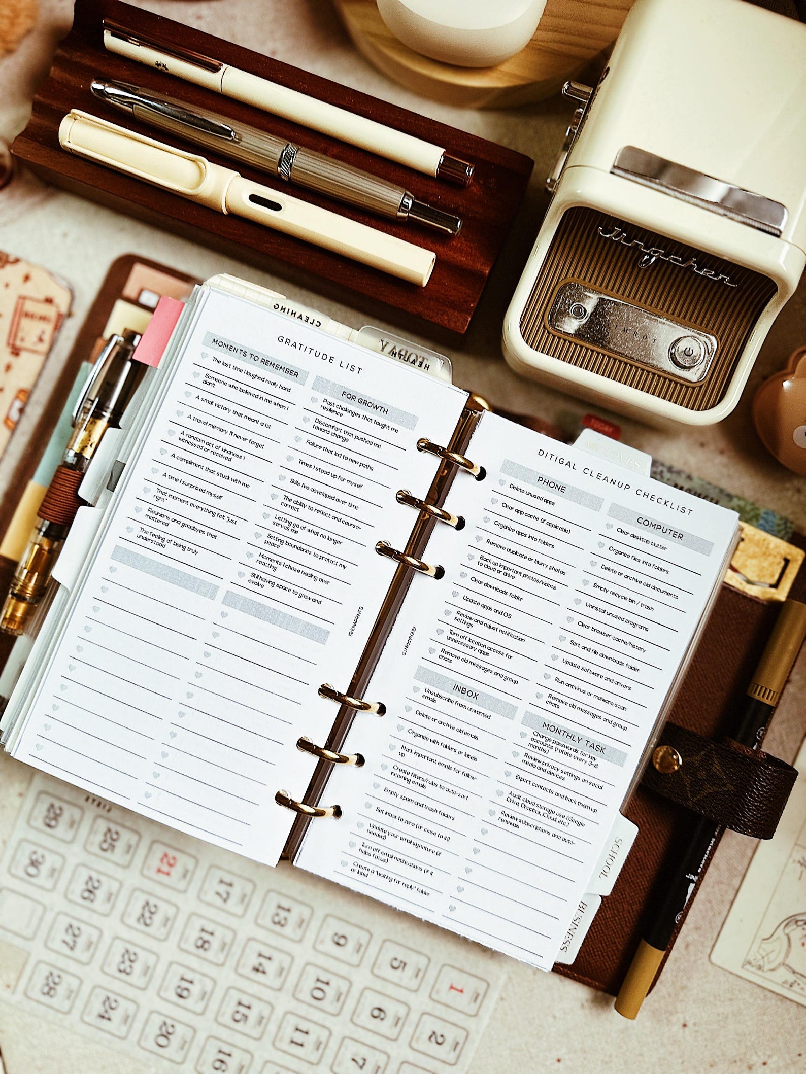 PP179 | Digital Cleanup Checklist for Personal Rings Printable Planner ...