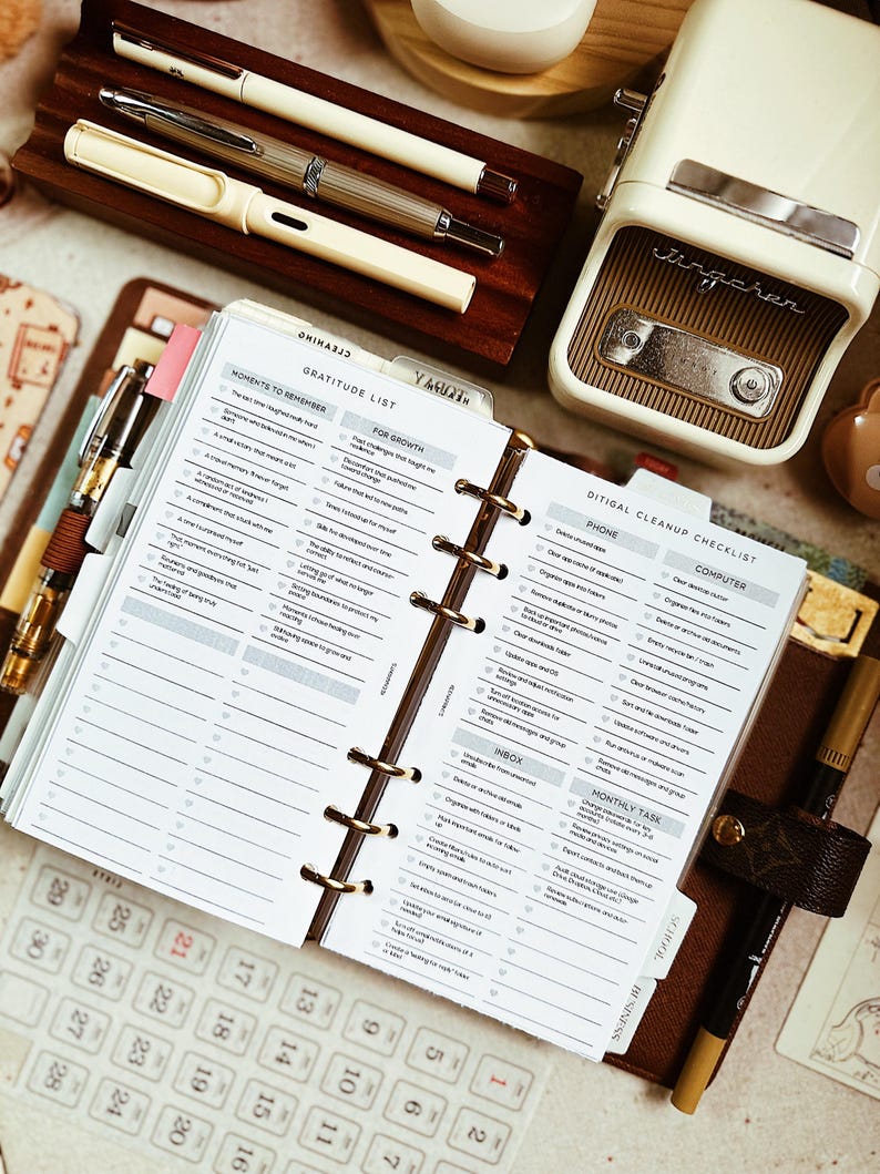 PP179 | Digital Cleanup Checklist for Personal Rings Printable Planner ...