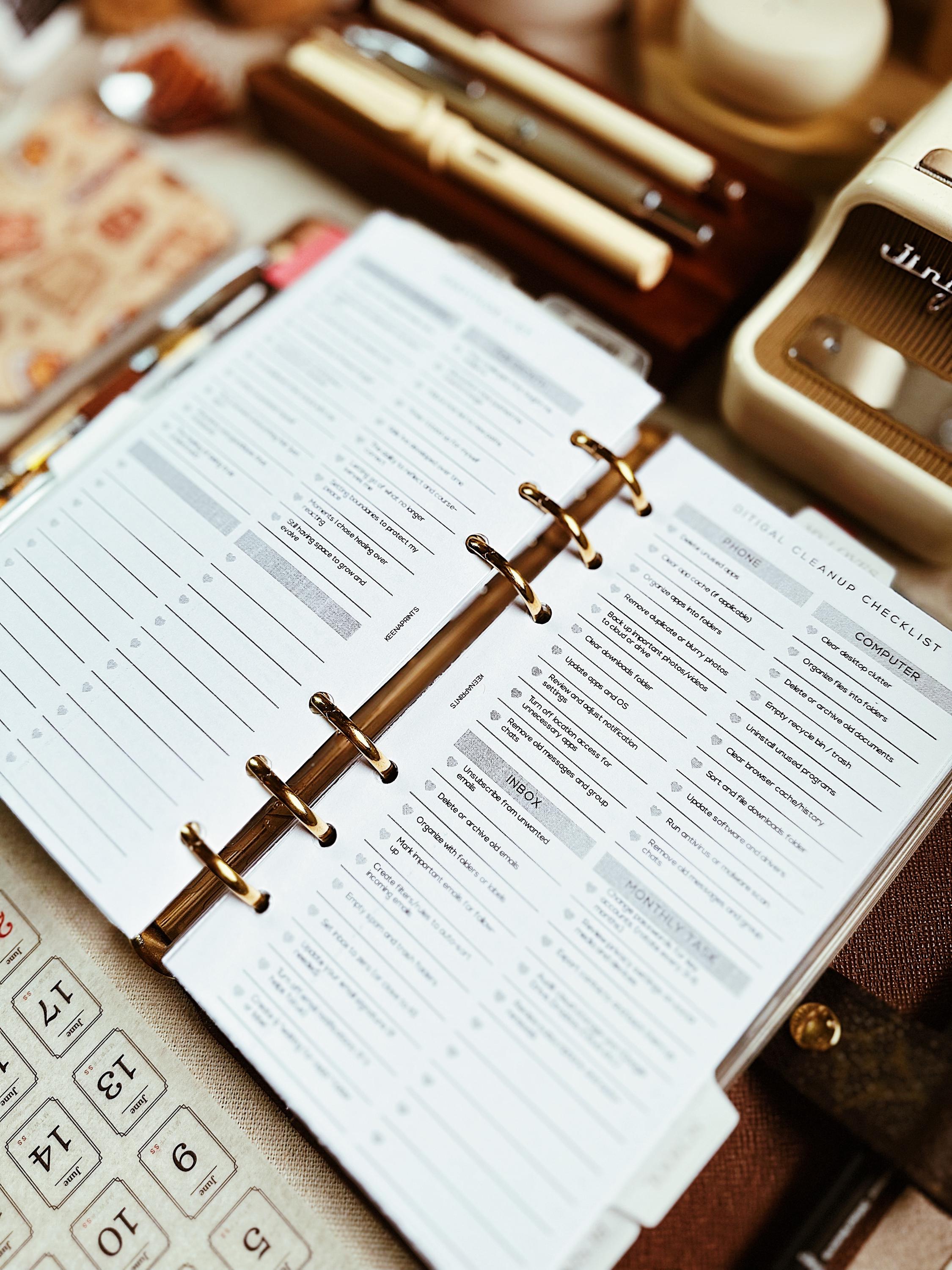 PP179 | Digital Cleanup Checklist for Personal Rings Printable Planner ...
