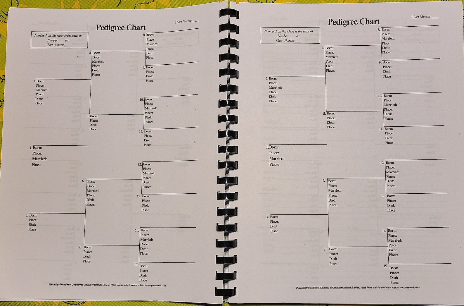 My Family Tree Workbook Genealogy Family History - Etsy