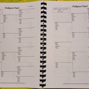 My Family Tree Workbook Genealogy Family History - Etsy