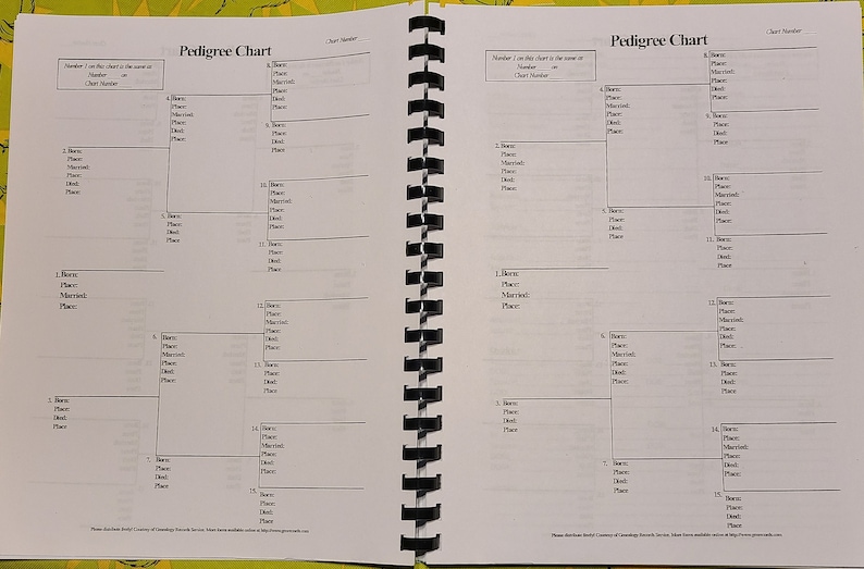 My Family Tree Workbook Genealogy Family History - Etsy