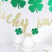 Lucky One Banner Shamrock Banner Lucky One Birthday St - Etsy
