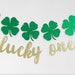 Lucky One Banner Shamrock Banner Lucky One Birthday St - Etsy