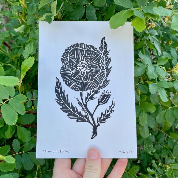 Poppy Print - Etsy