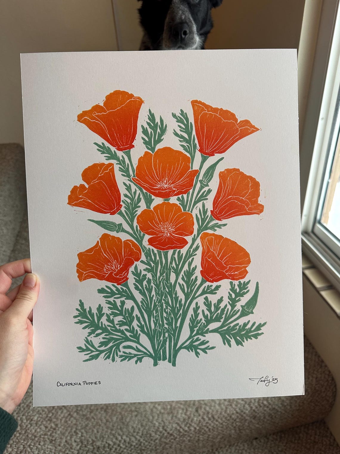 California Poppies, Hand-carved and Illustrated Linocut Print Unique ...