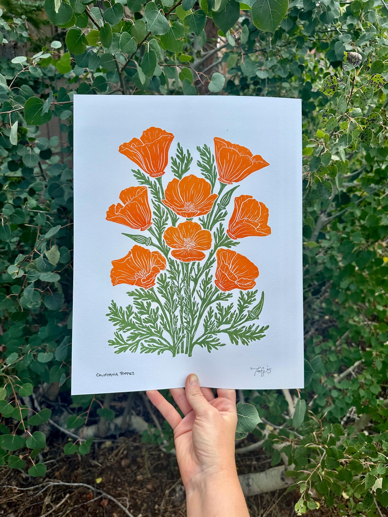 California Poppies, Hand-carved and Illustrated Linocut Print Unique ...