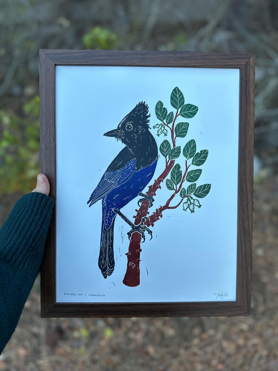Steller's Jay Western Blue Jay Manzanita Hand Carved Unique Art Linocut ...
