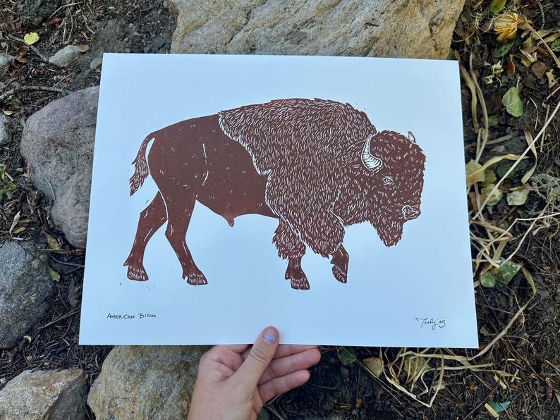 American Bison Hand-carved Linocut Block Print - Etsy