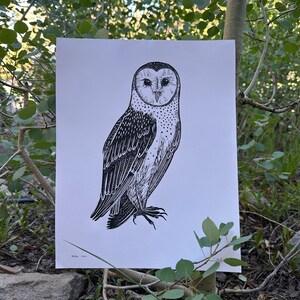 Barn Owl Block Print - Etsy