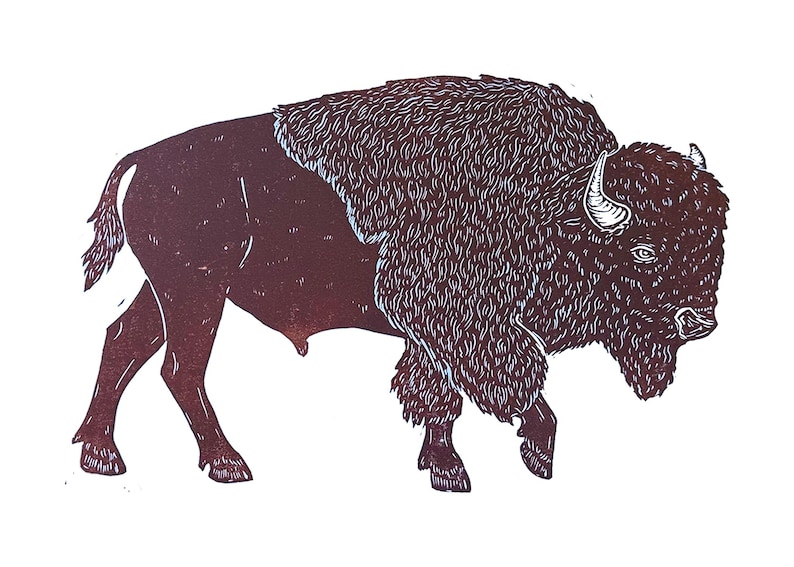 American Bison Hand-carved Linocut Block Print - Etsy