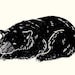 Black Bear Block Print Handmade Unique Art Print Linocut - Etsy