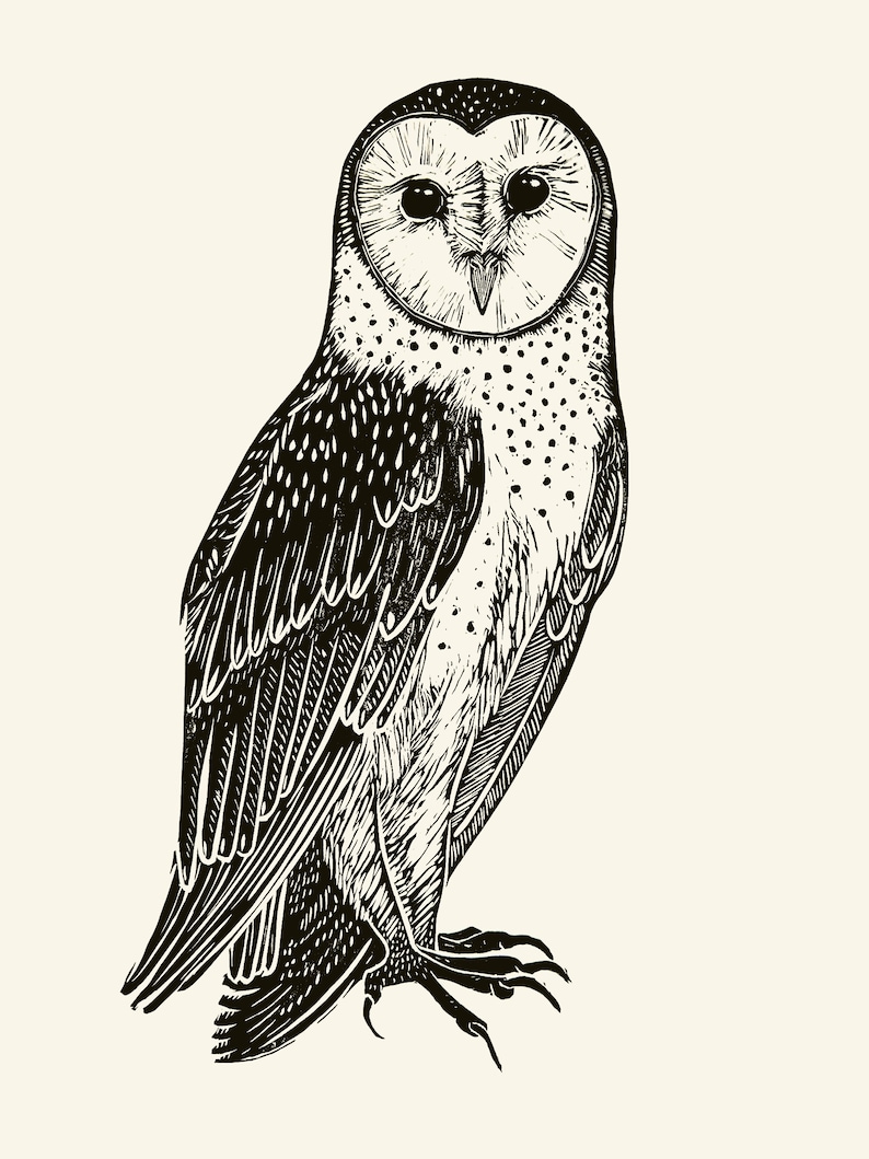 Barn Owl Block Print - Etsy