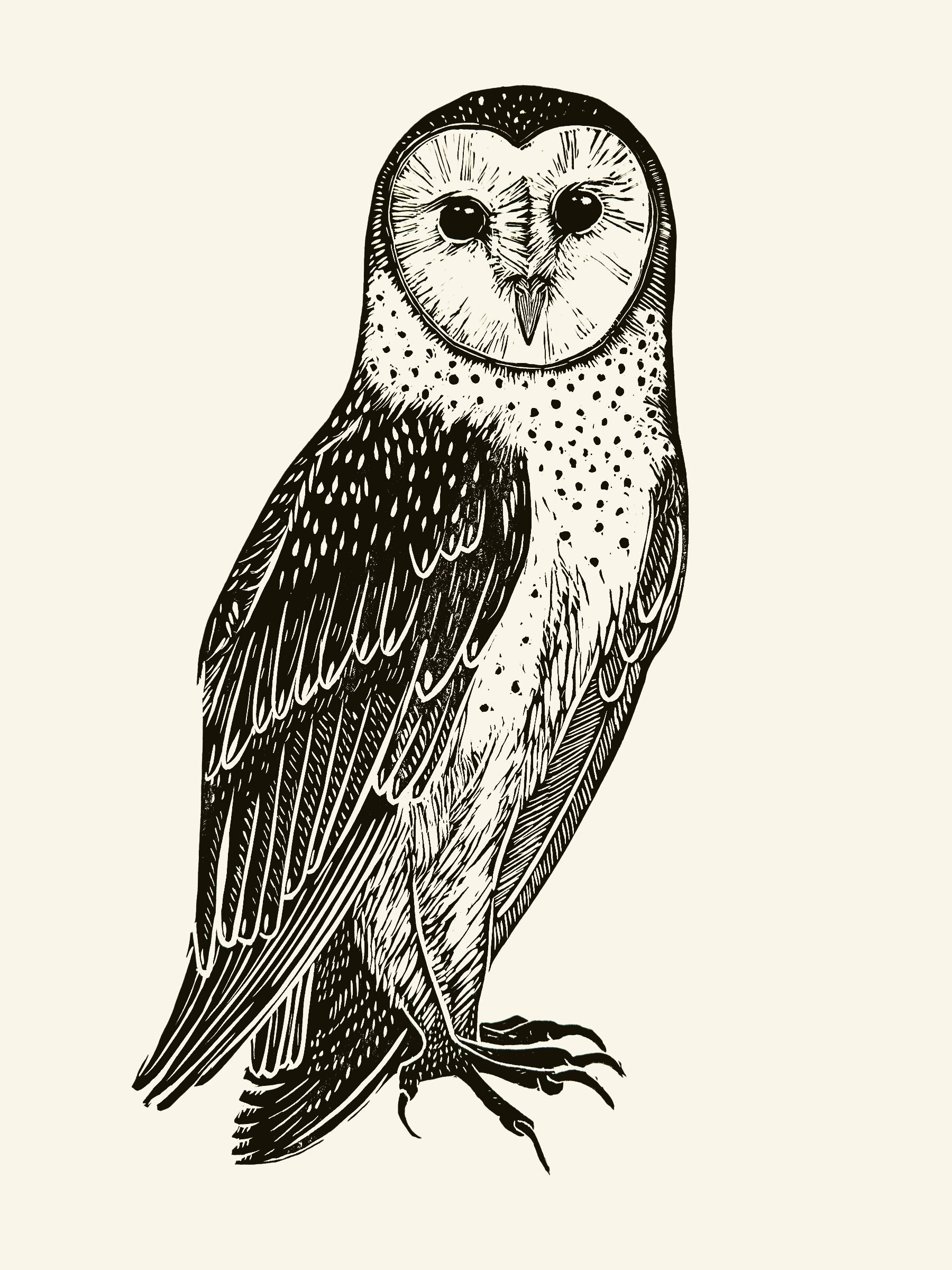 Barn Owl Block Print - Etsy