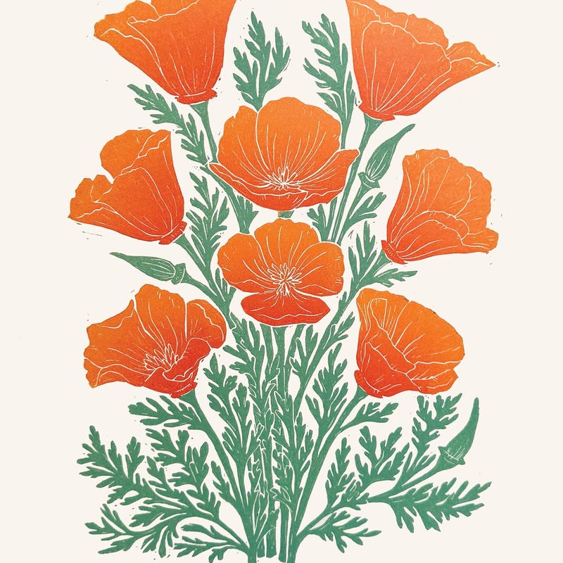 California Poppy Art - Etsy