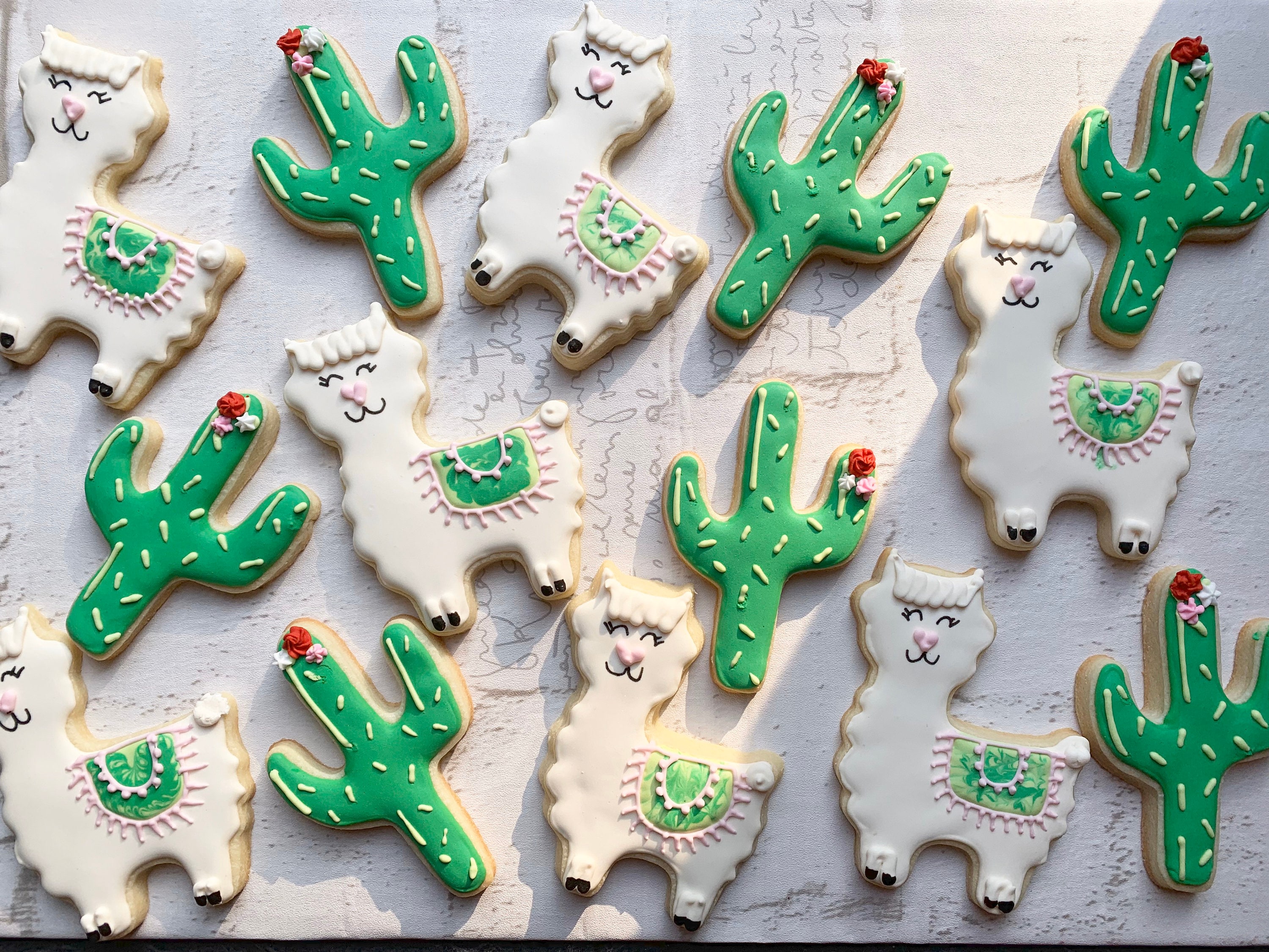 Llama and Cacti Sugar Cookies- 1 DOZEN - Etsy