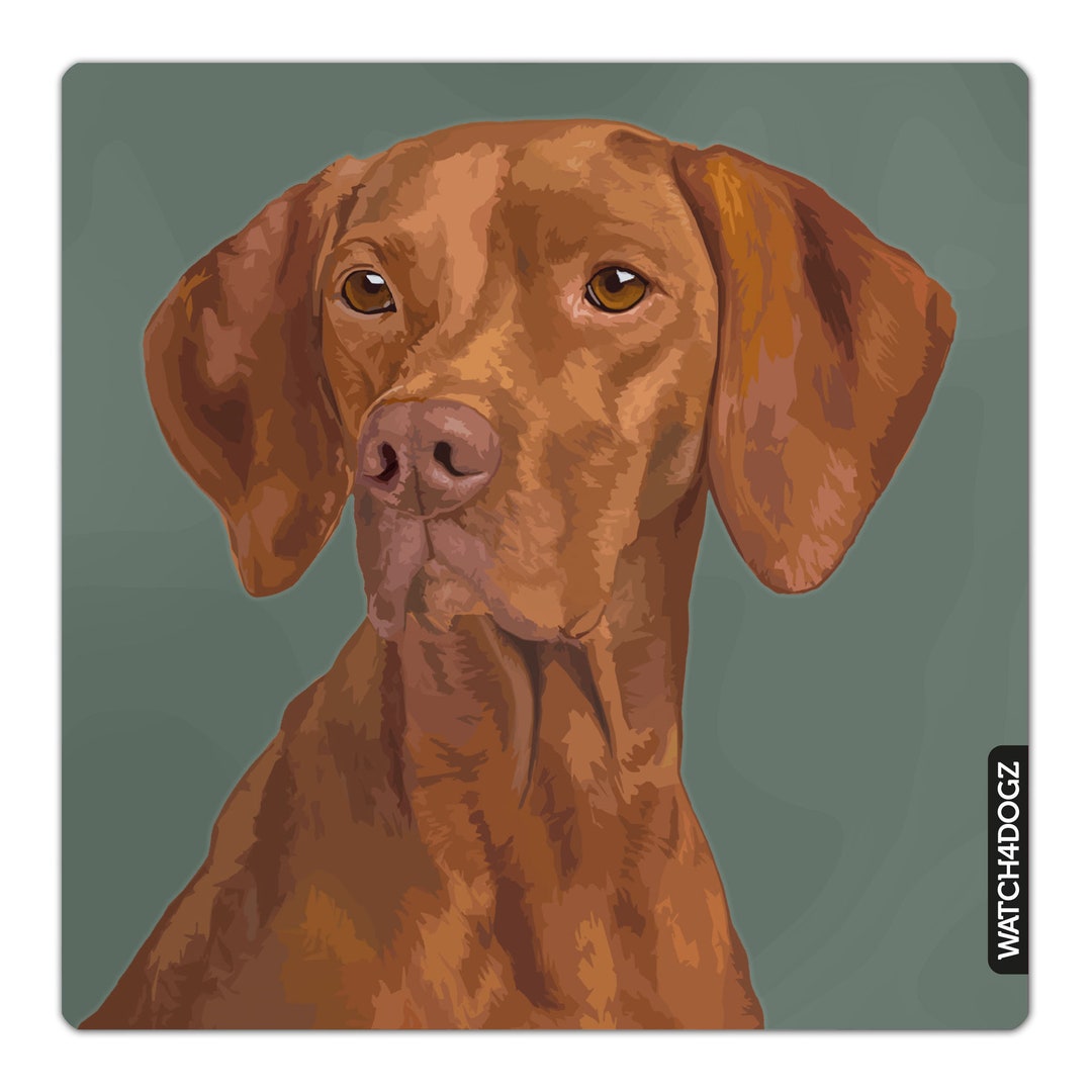 Vizsla Dog Sign Plate - Etsy