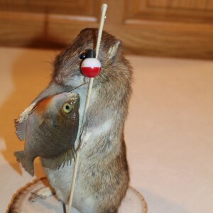 Taxidermy Fishing Barn Rat Mount Novelty Whitetail Deer Log Cabin Decor ...