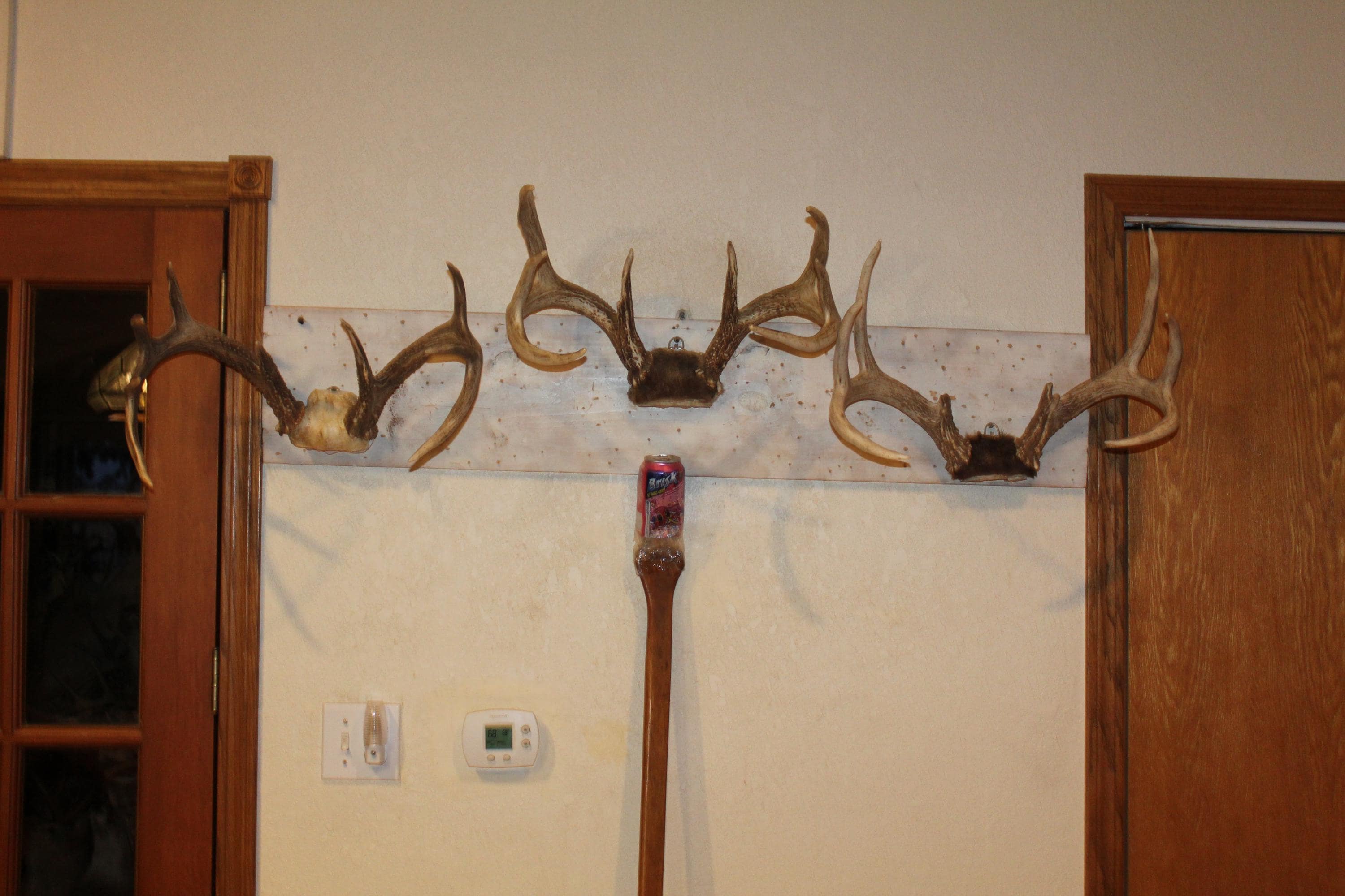 Whitetail Deer Mounts Taxidermy Antler Hunt Racks Log Cabin Wall Decor ...