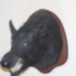 Pig Head Mount Taxidermy Log Cabin Decor - Etsy