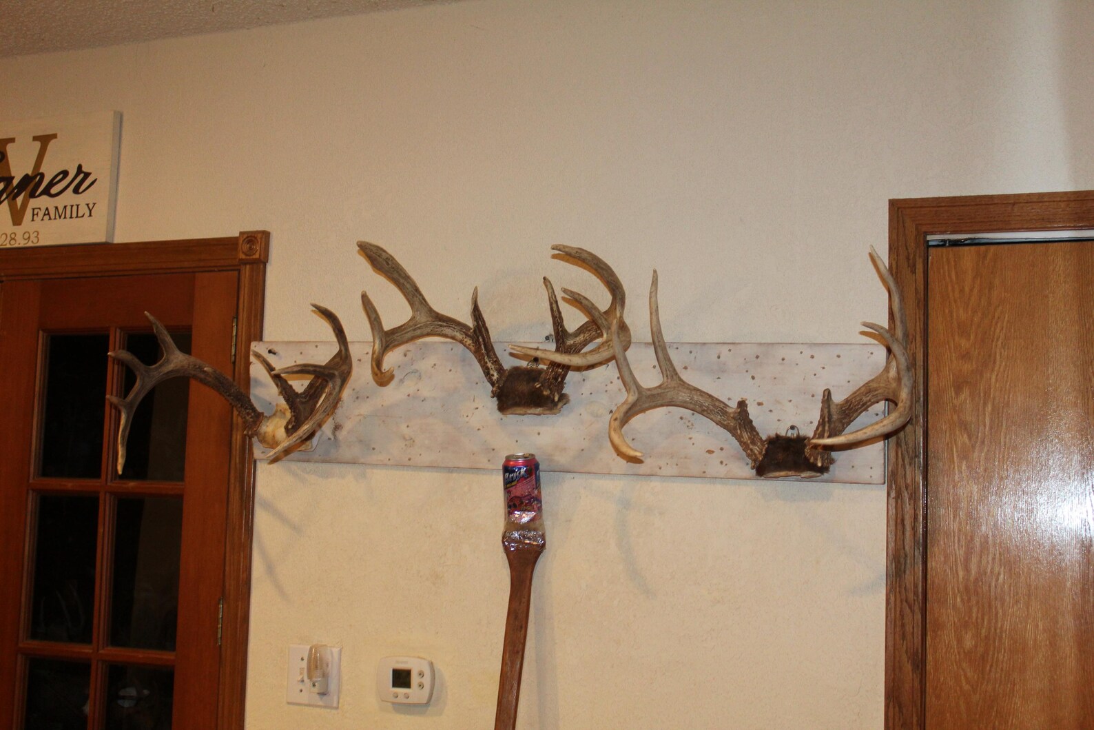 Whitetail Deer Mounts Taxidermy Antler Hunt Racks Log Cabin Wall Decor ...