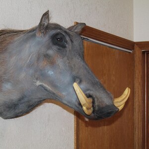 Pig Head Mount Taxidermy Log Cabin Decor - Etsy