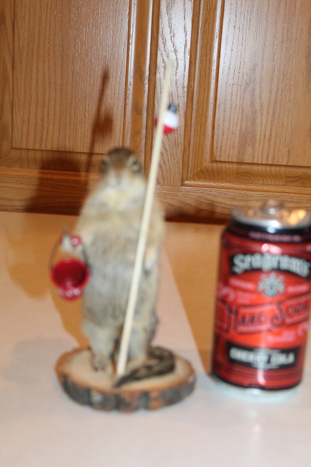 New Taxidermy Gopher Ground Squirrel Chipmunk Fish Pole Mount Novelty ...