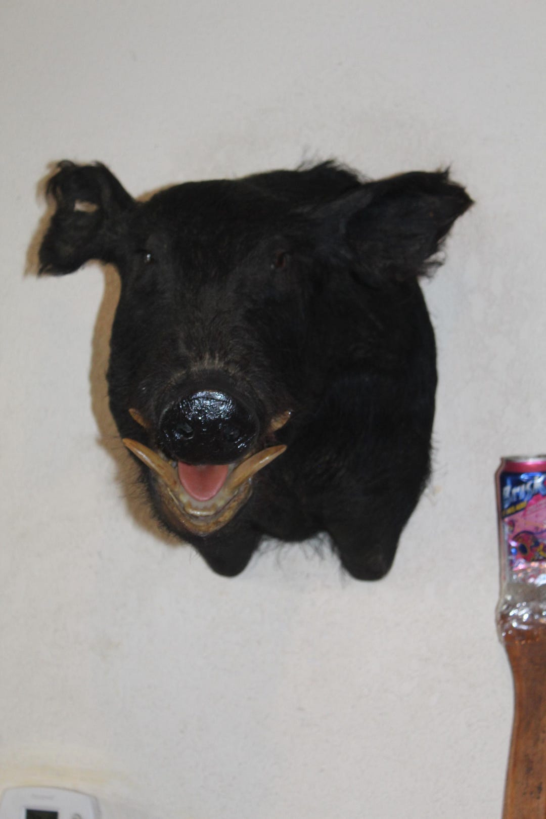 Pig Head Mount Taxidermy Log Cabin Decor - Etsy