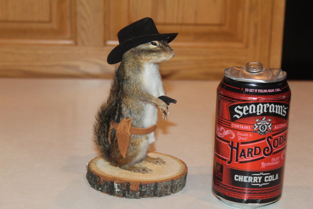 New Taxidermy Cowboy Chipmunk Mount Novelty Whitetail Deer Log Cabin ...