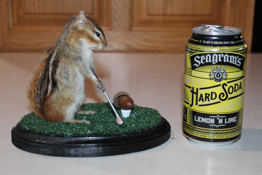 Taxidermy Chipmunk Golf Nut Club Mount Novelty Whitetail Deer Log Cabin ...