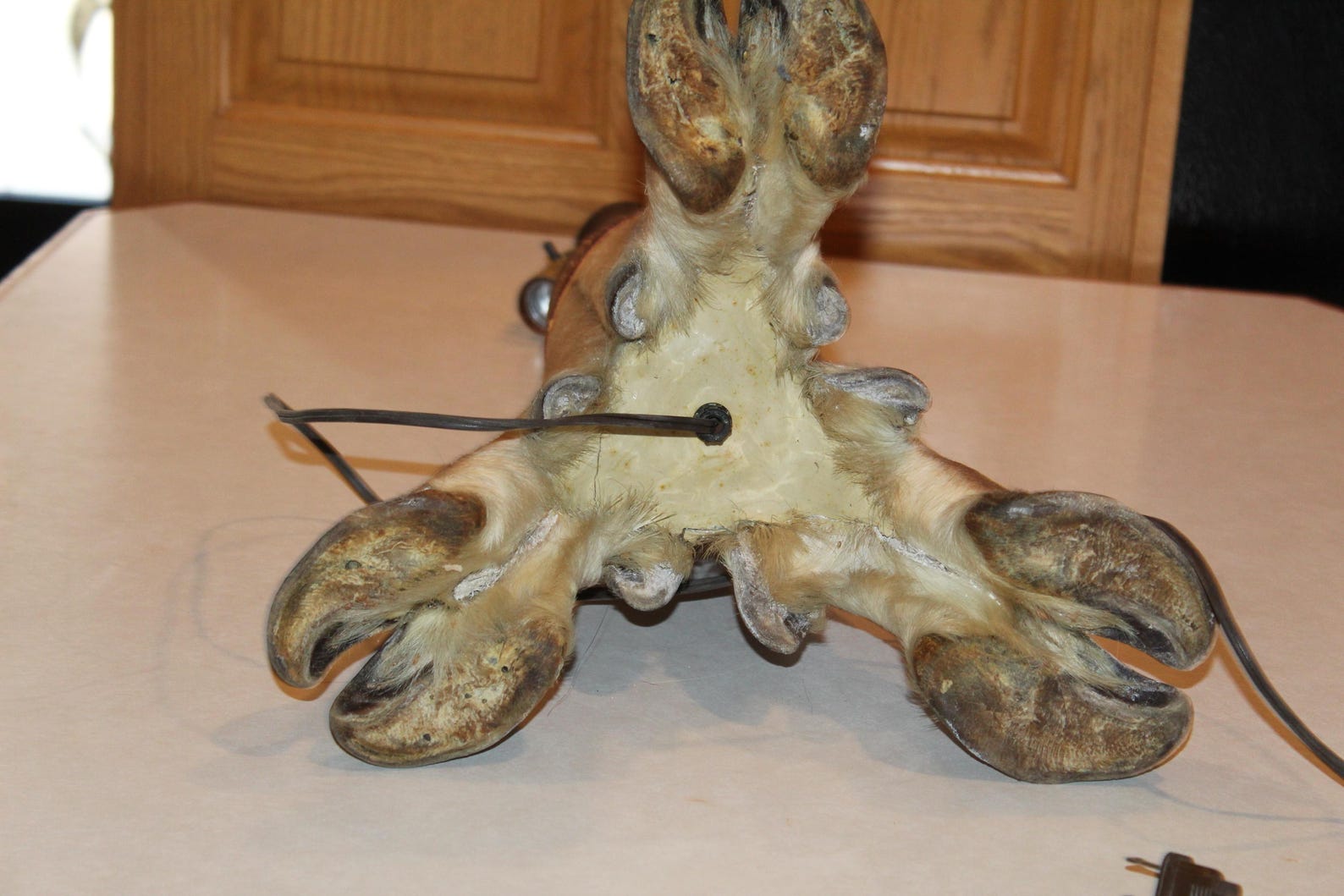 Caribou Feet Table Lamp Taxidermy Log Cabin Decor Whitetail Deer Mule ...