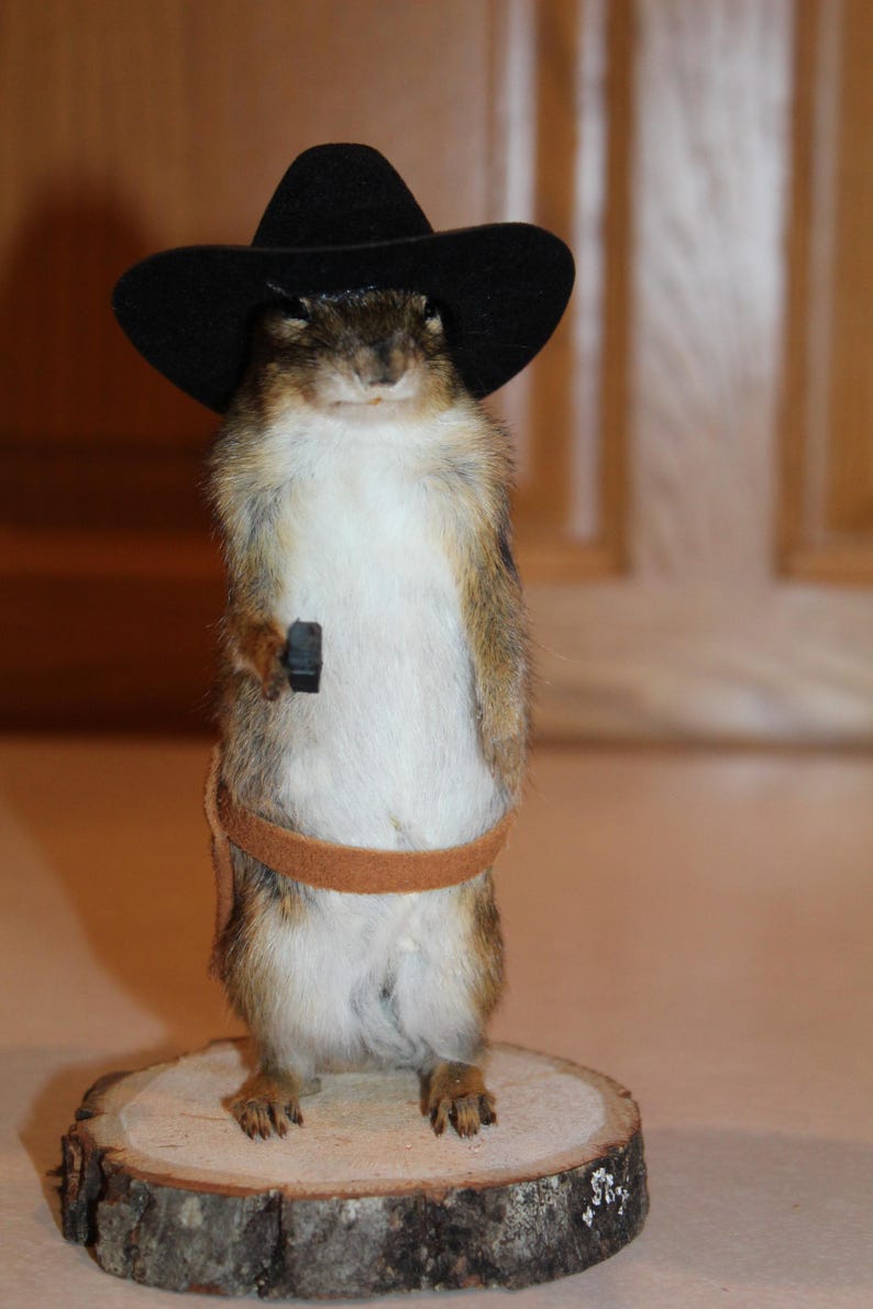 New Taxidermy Cowboy Chipmunk Mount Novelty Whitetail Deer Log Cabin ...