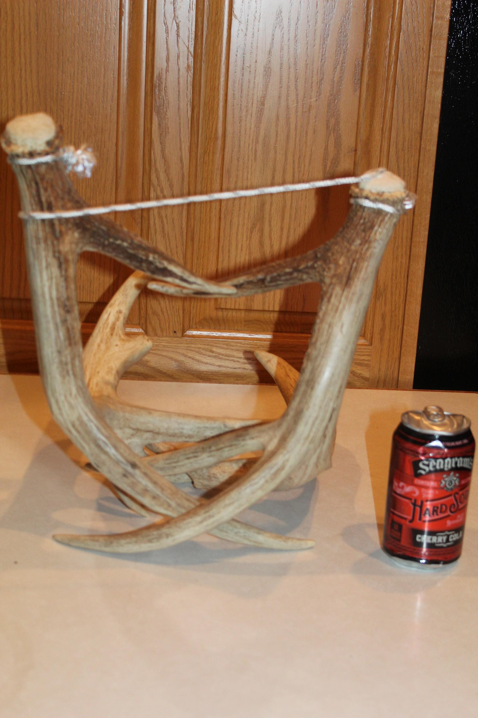 Whitetail Deer Shed Antler Mounts Taxidermy Hunt Log Cabin Wall Decor ...