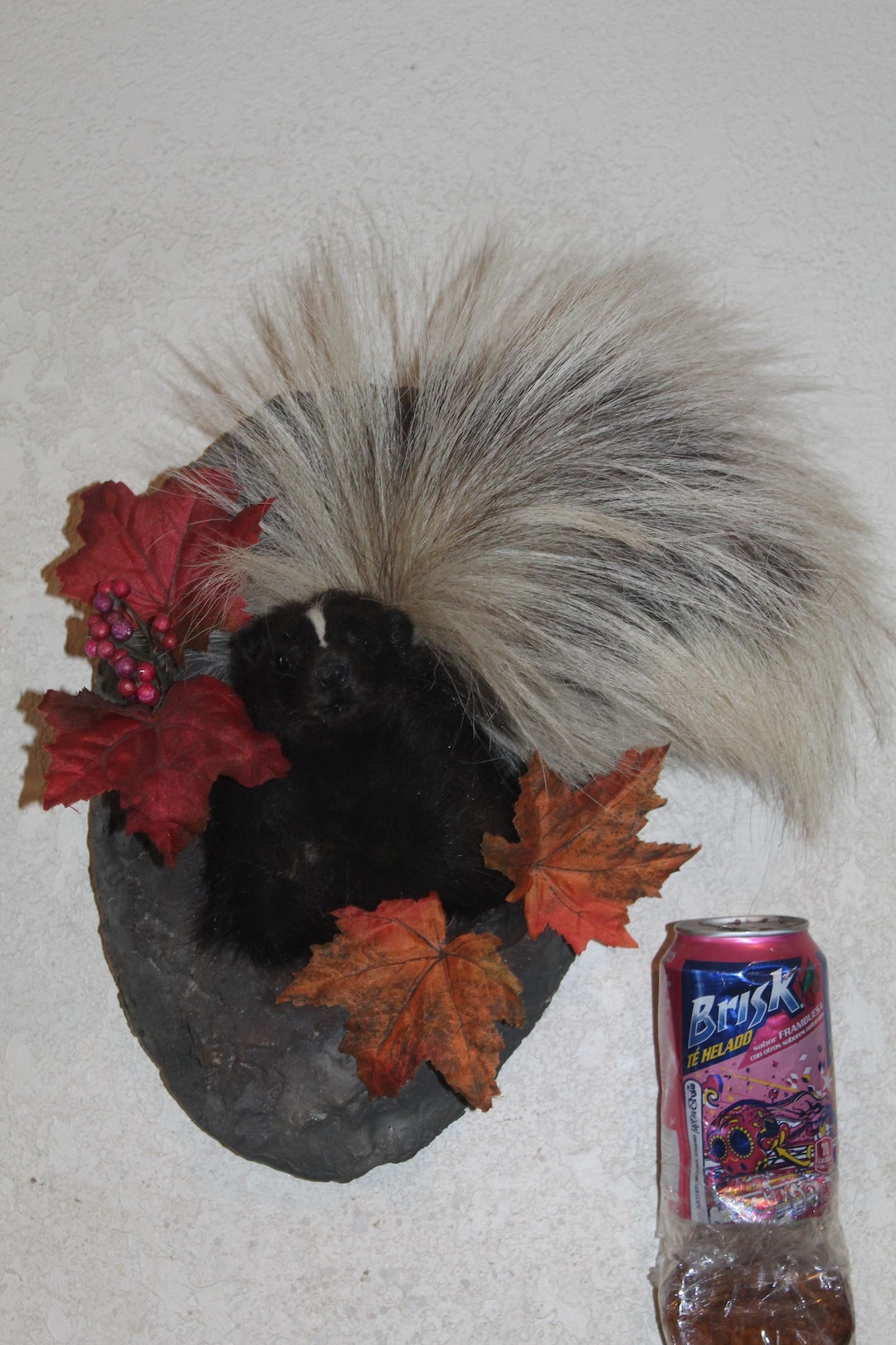 Striped Skunk Mount Taxidermy Whitetail Deer Shed Antler Log Cabin ...