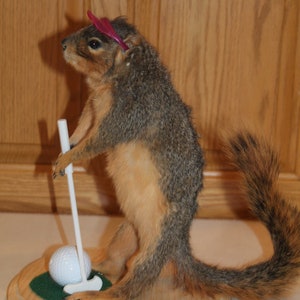 Taxidermy Squirrel Golf Ball Club Mount Novelty Whitetail Deer Log ...