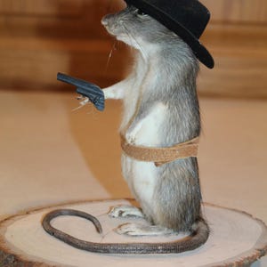 Taxidermy Cowboy Hat Barn Rat Mount Novelty Whitetail Deer Log Cabin ...