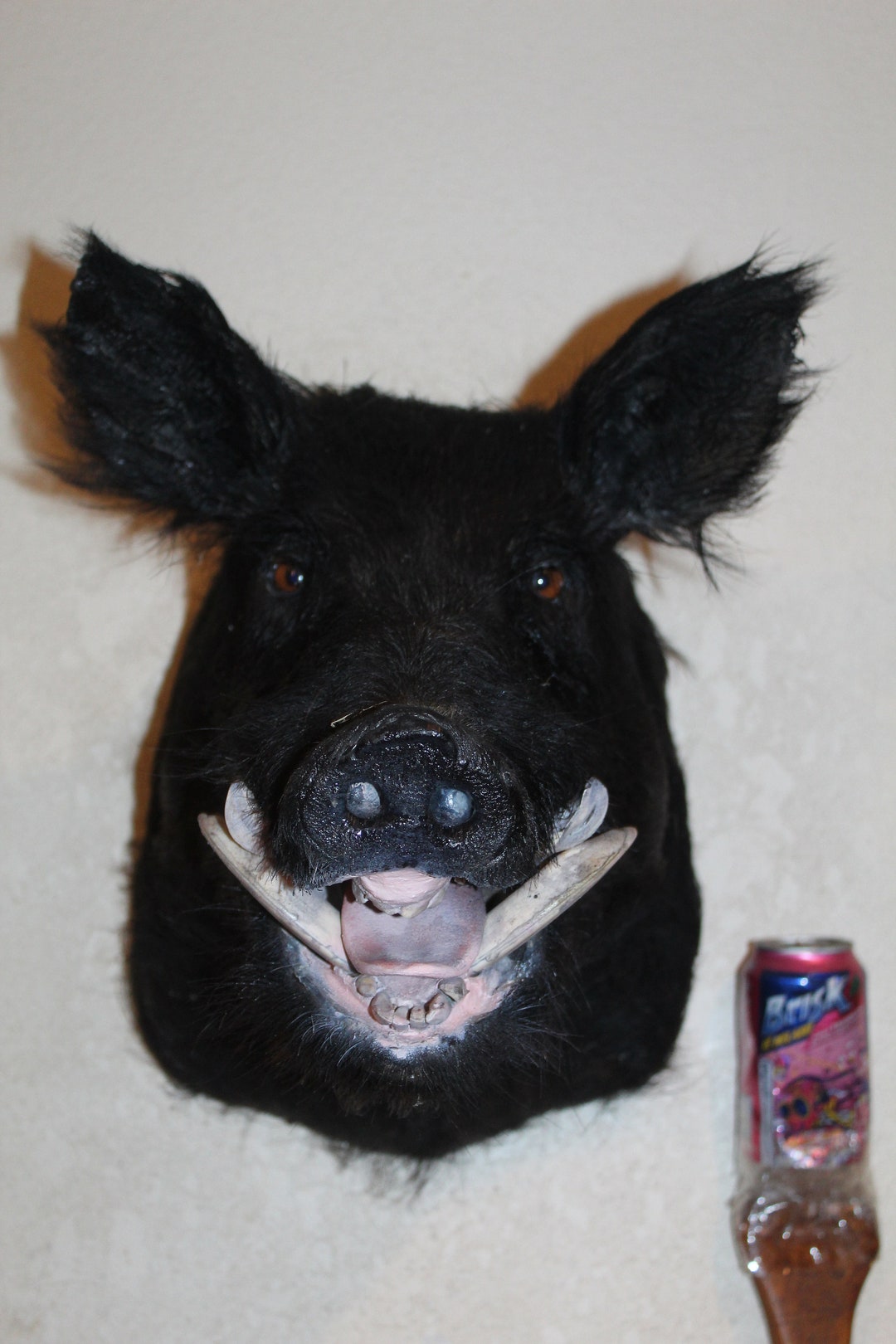 Pig Head Mount Taxidermy Log Cabin Decor - Etsy