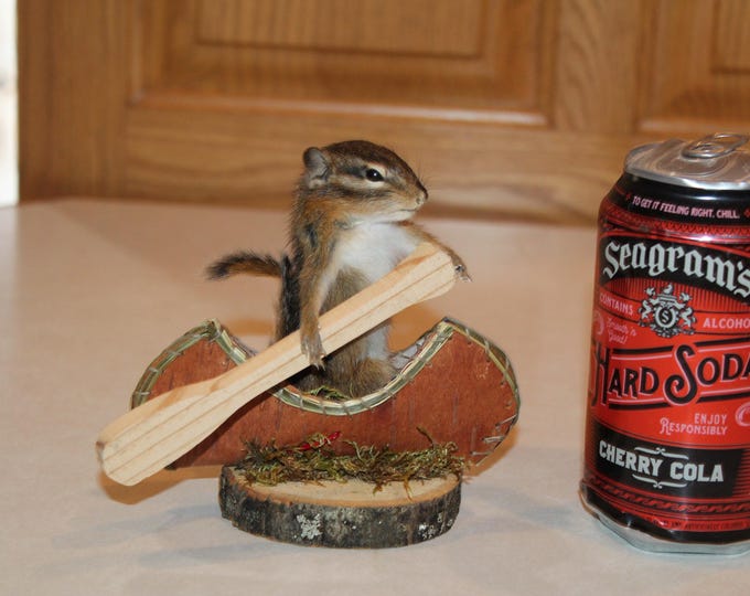 Taxidermy Chipmunk Canoe Camping Mount Novelty Whitetail Deer Log Cabin ...