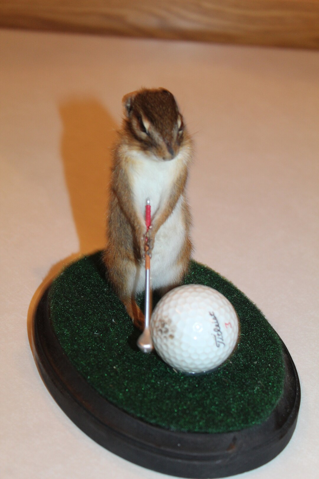 Taxidermy Chipmunk Golf Ball Club Mount Novelty Whitetail Deer Log ...