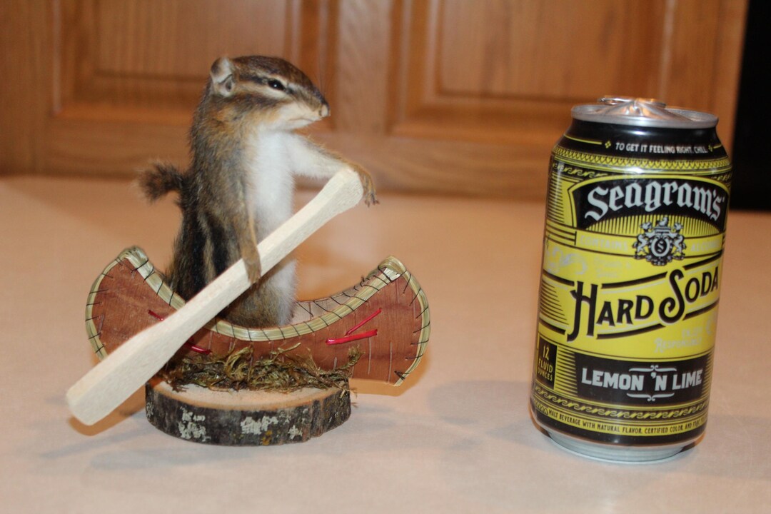 New Taxidermy Canoe Chipmunk Mount Novelty Whitetail Deer Log Cabin ...