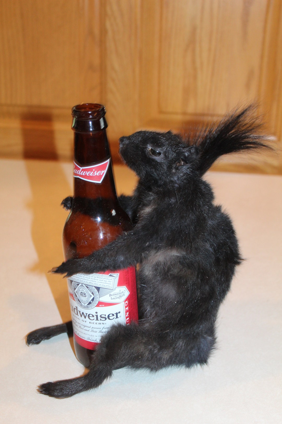 Taxidermy Squirrel Budweiser Beer Mount Novelty Whitetail Deer Log Cabin Decor - Etsy