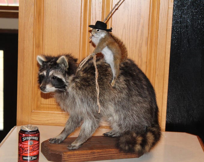 Raccoon Cowboy Squirrel Mount Taxidermy Log Cabin Decor Novelty ...